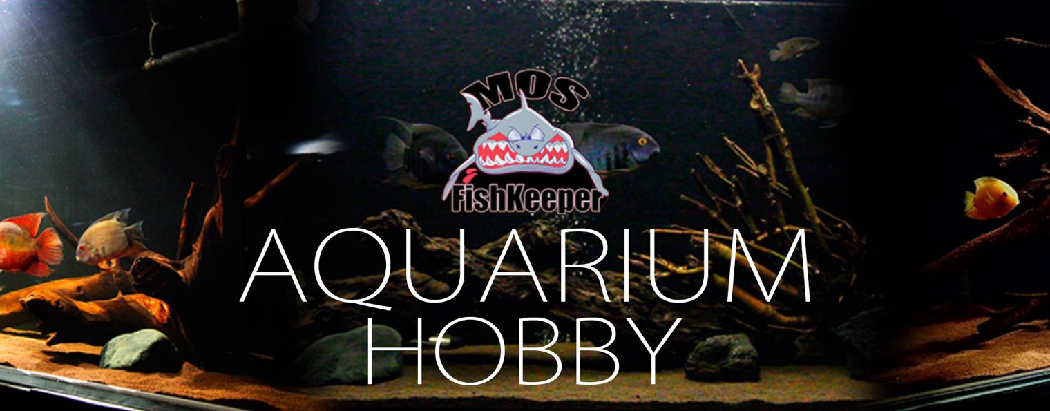 MosFishKeepeR - Пресноводный аквариум