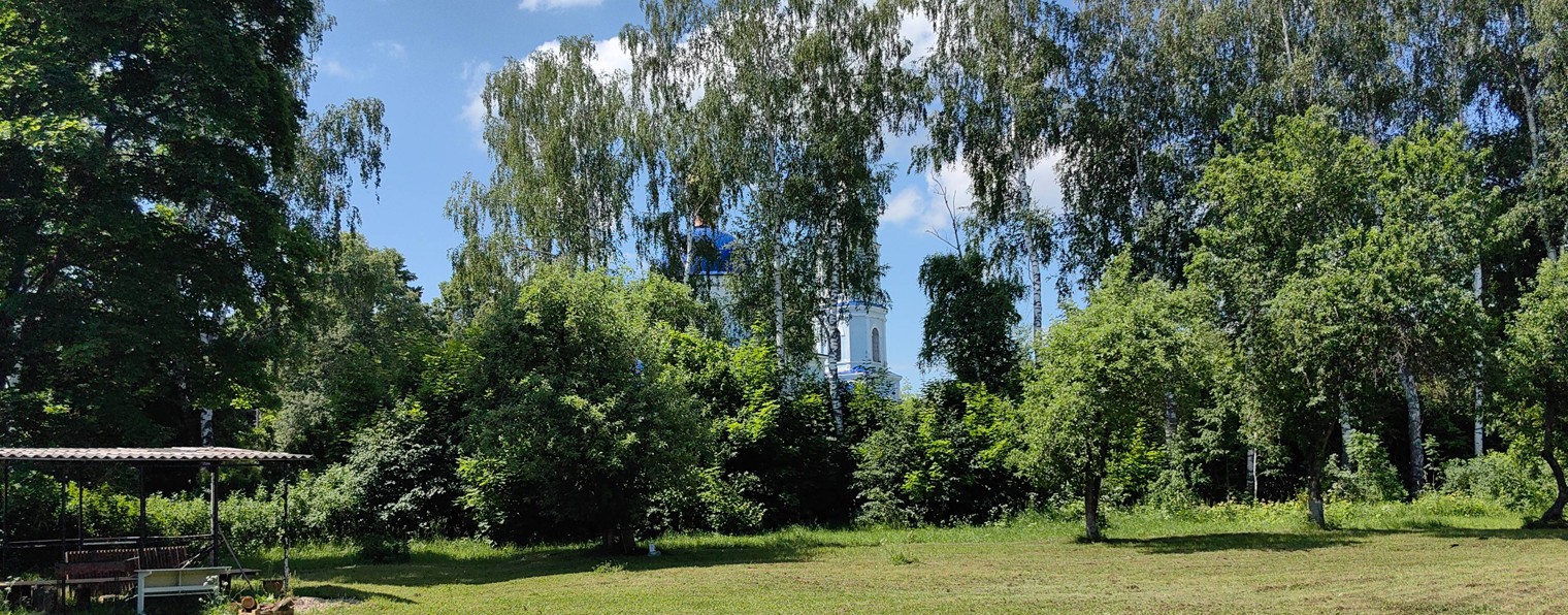 ТРЕЗВОЕ ДЕЛО