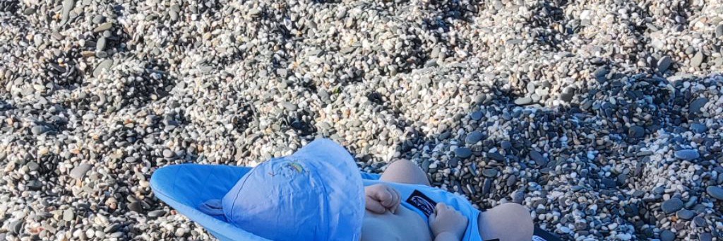 Семейный дневник Жучков