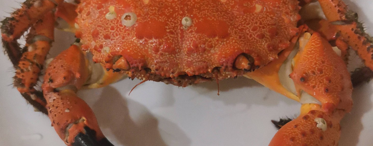 ЖИВУ И РЫБАЧУ НА ЧЁРНОМ МОРЕ.