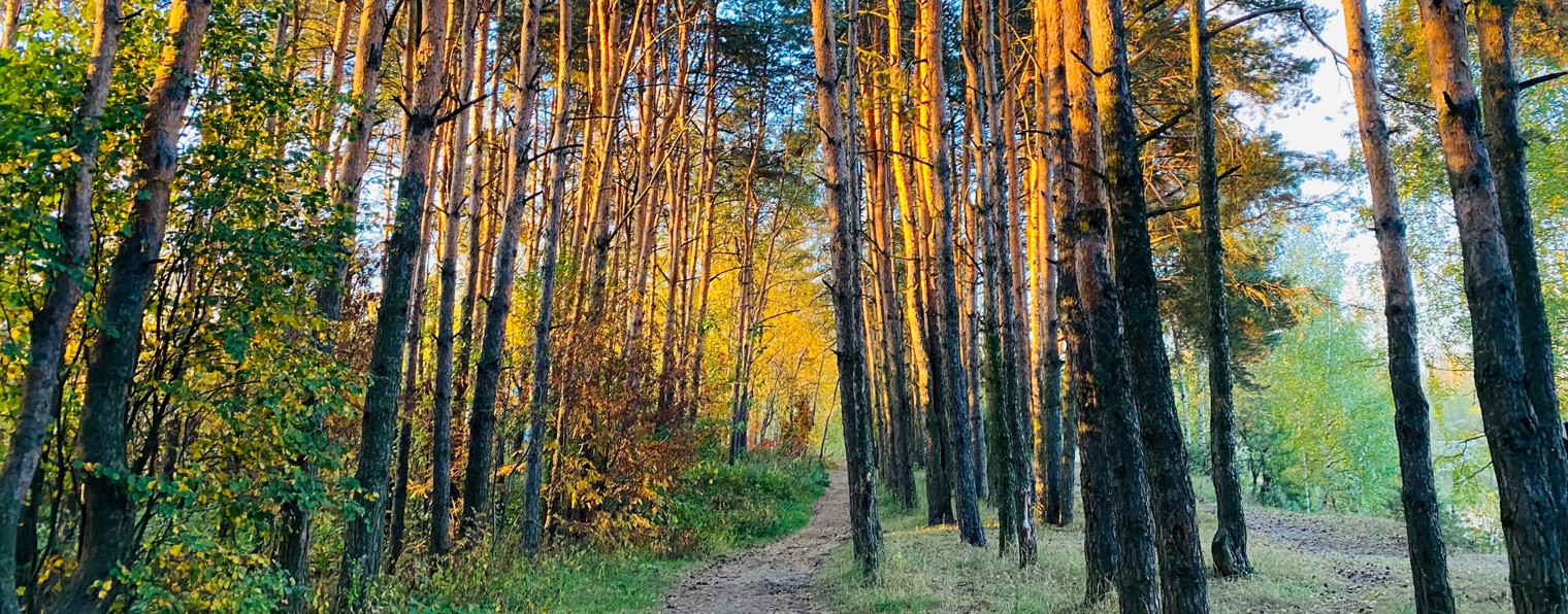 Владимир Байков