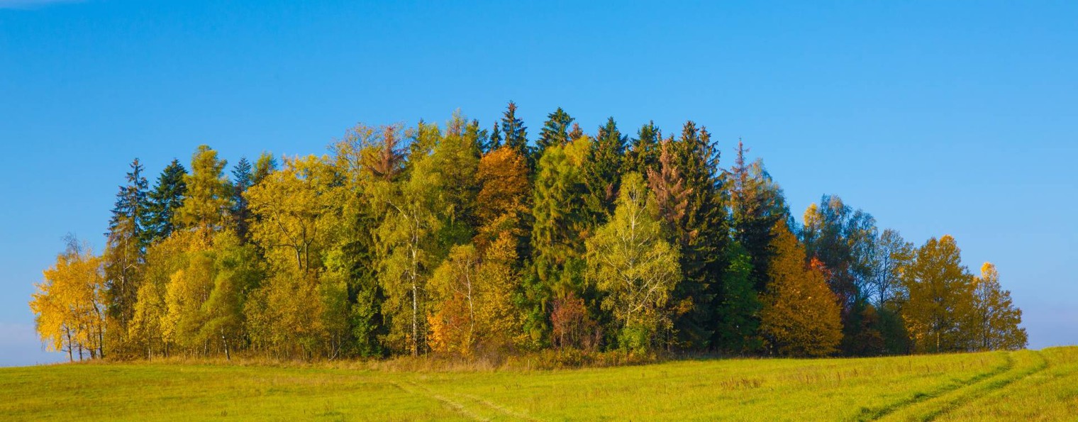 Руслан Гительман П.Т ✔️