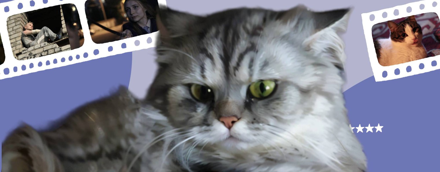 Сергей Савин (студия СерыйФильм)