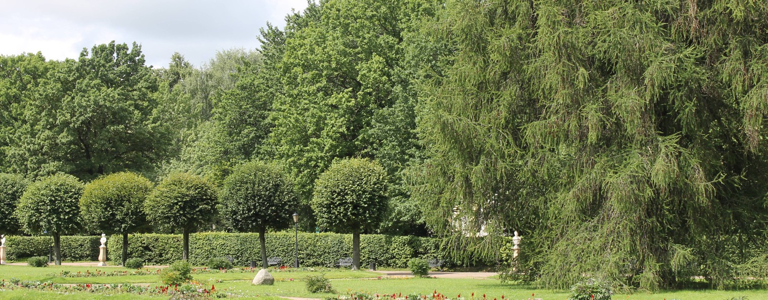 МЫСЛИ  БЕЗРАБОТНОГО