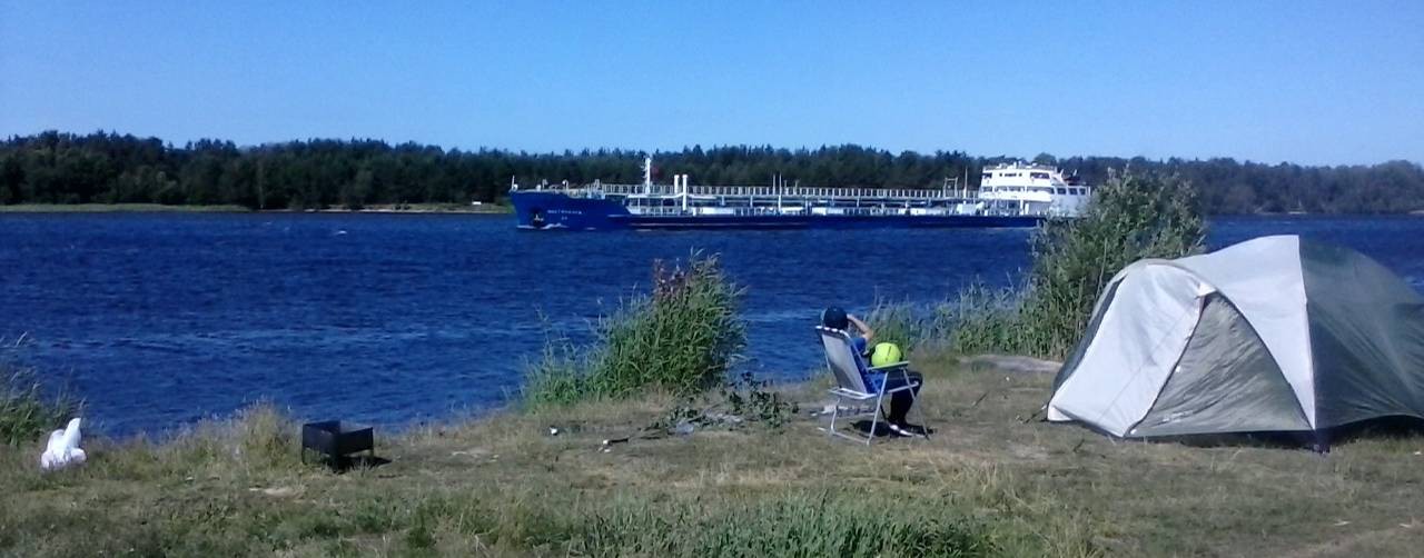 Ни хвоста ни чешуи.