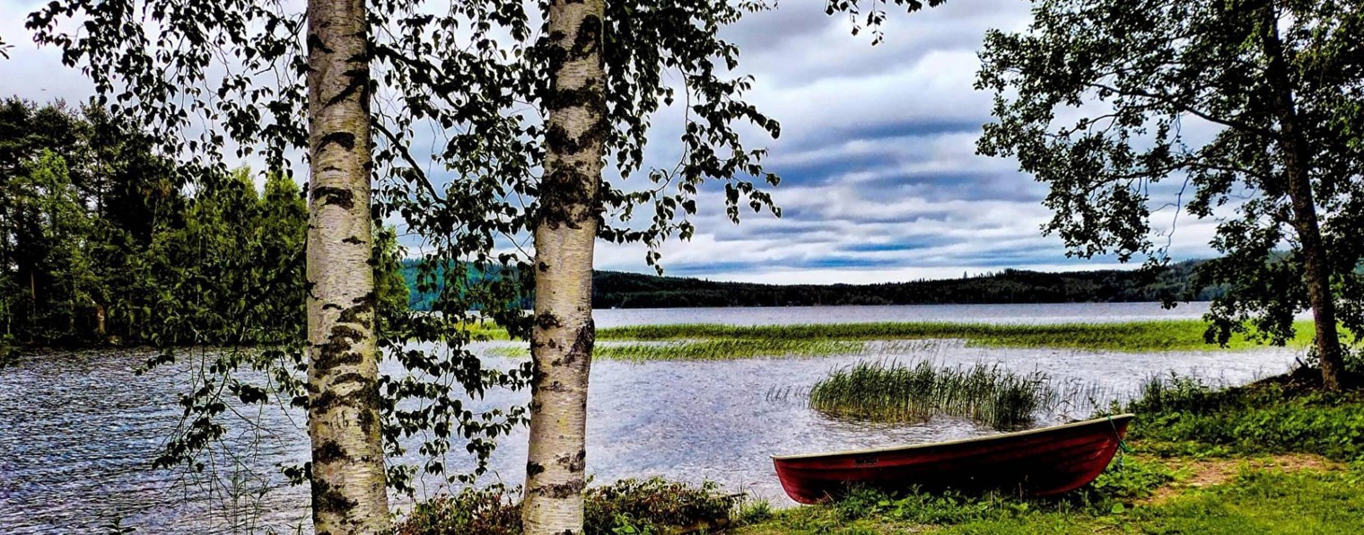 mNsergey. У Деда Сергея.