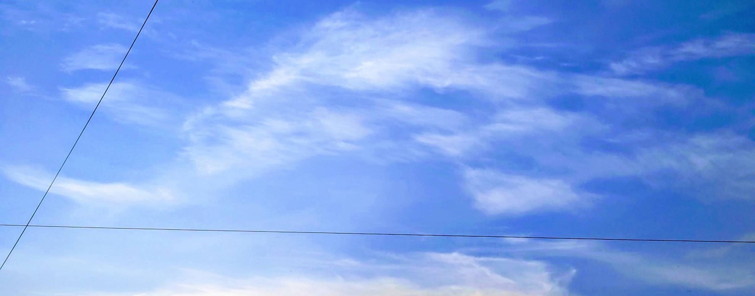 🦁 Христианка и волонтёр!