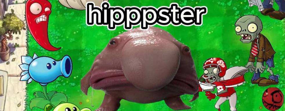 hipppster