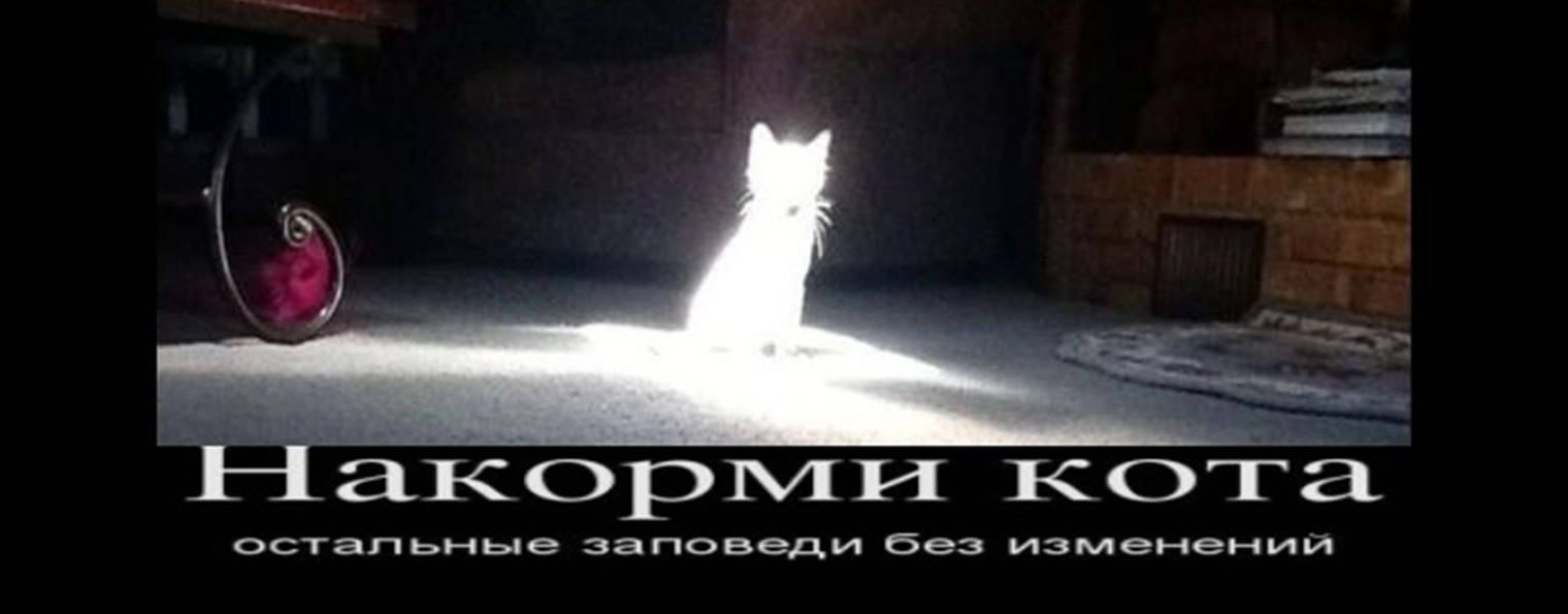 Сила в правде