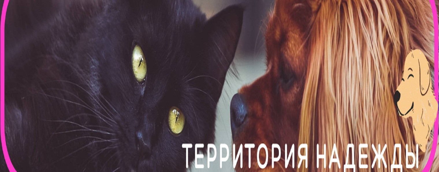 Кот и Пёс - Территория Надежды - Улан-Удэ