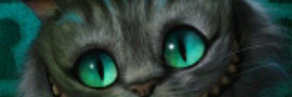 Hallo_o_O