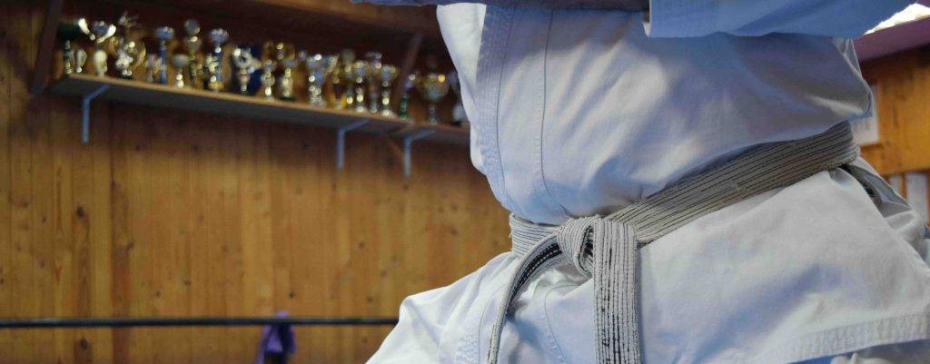 Nishikawa-dojo Russia