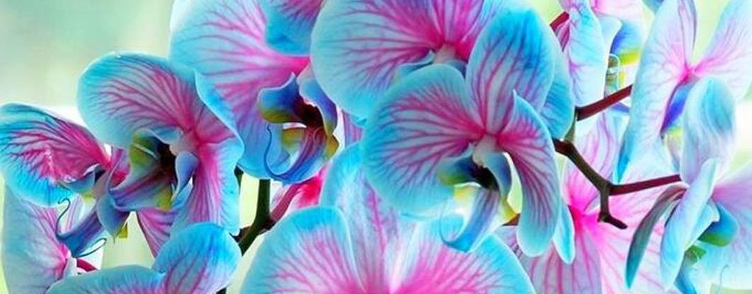 Каждый день с Настасьей