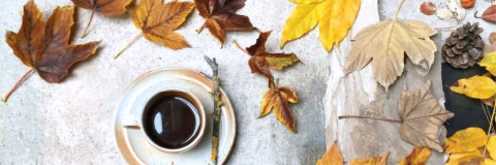 Цветы из атласной ленты