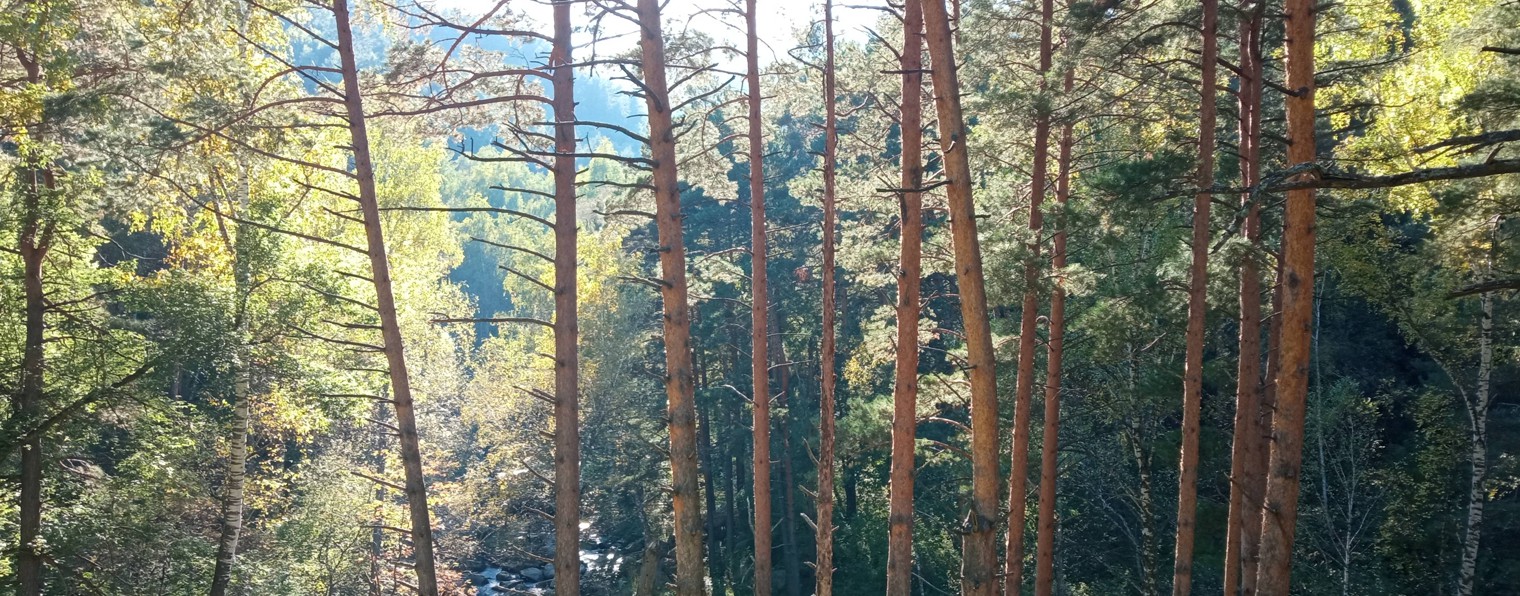 Ванда Ясинская_Разумный образ действий