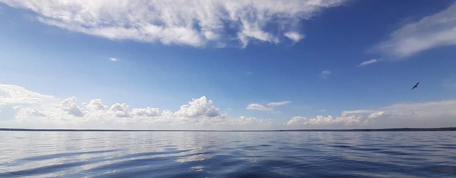 Алия Ахилбаева - Распаковка публичности