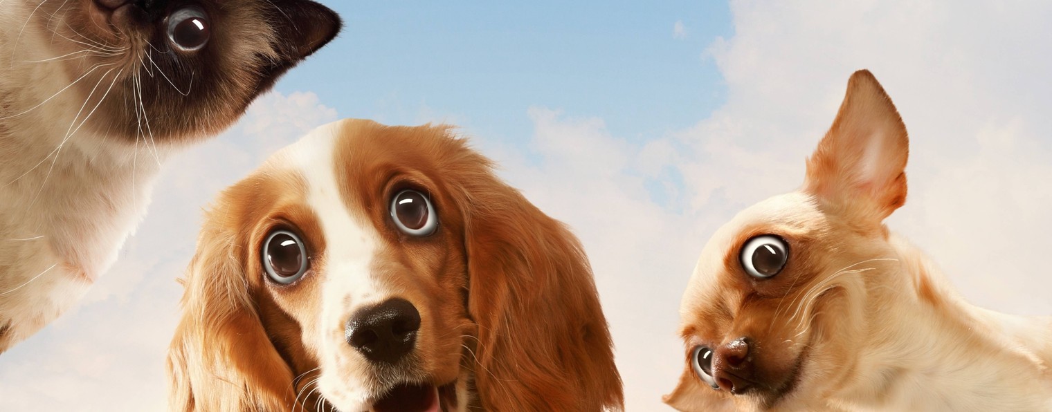 ЗВЕРОПОЛИС