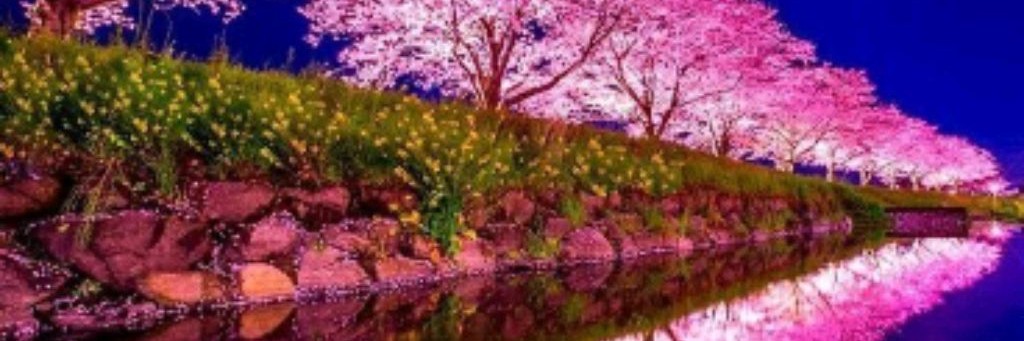 Фильмы | Трейлеры