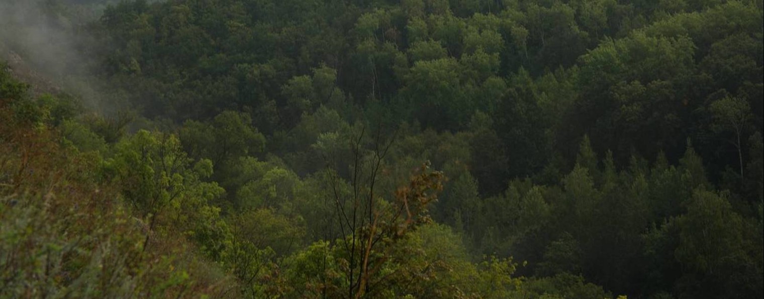 Музыка для вас