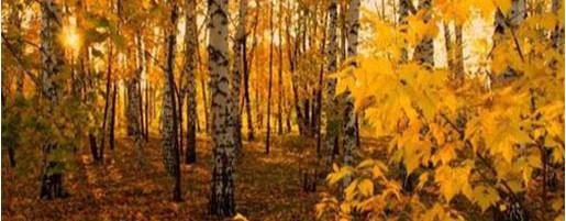 Клецов Андрей