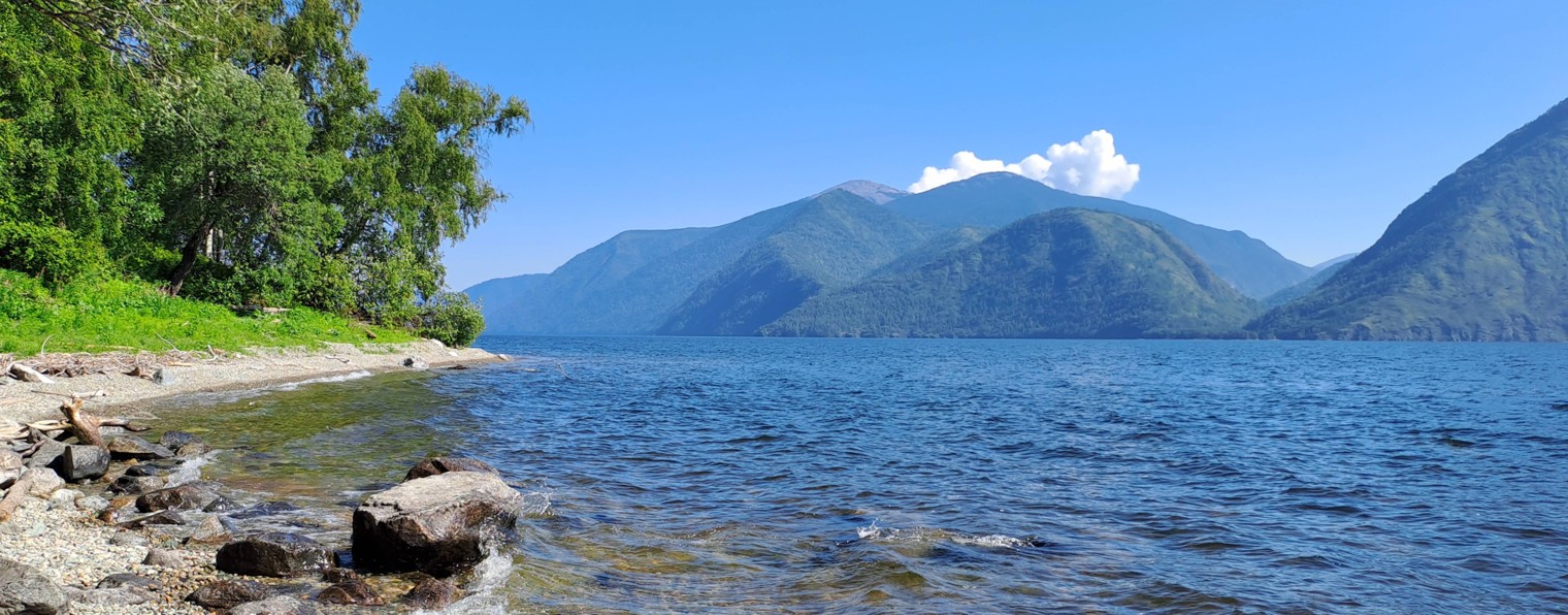 Наталия Макарова - ЛИСАиКо