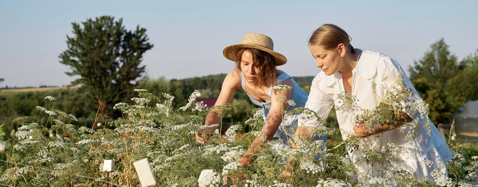 Цветочная ферма "Цветы и Травы"