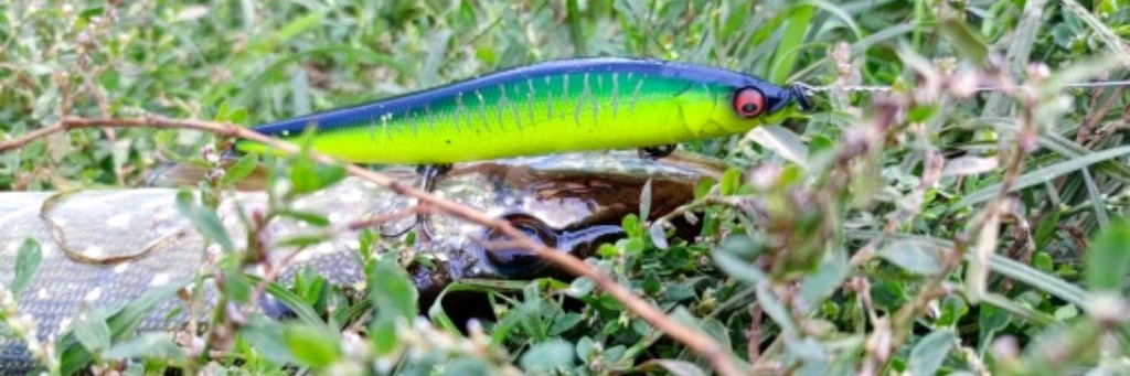 Александр Кремнёв