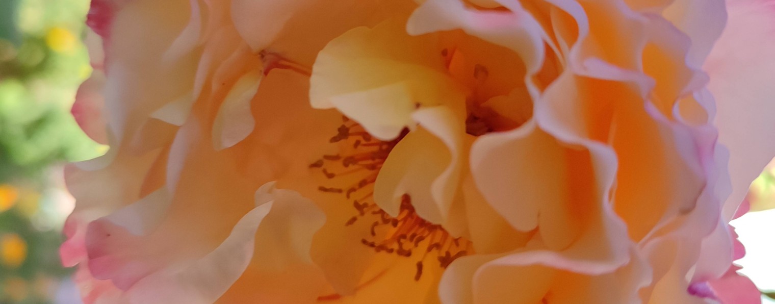 Жизнь на пенсии Татьяны