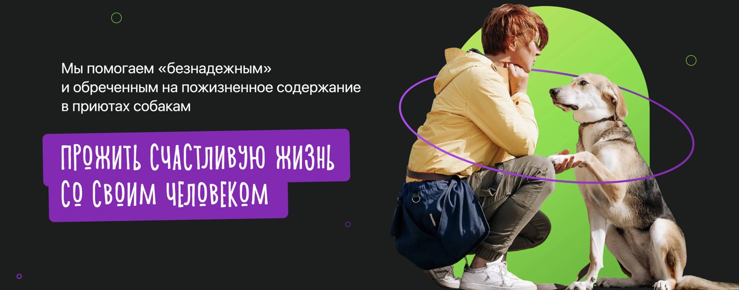 РЦ "Своя Стая"