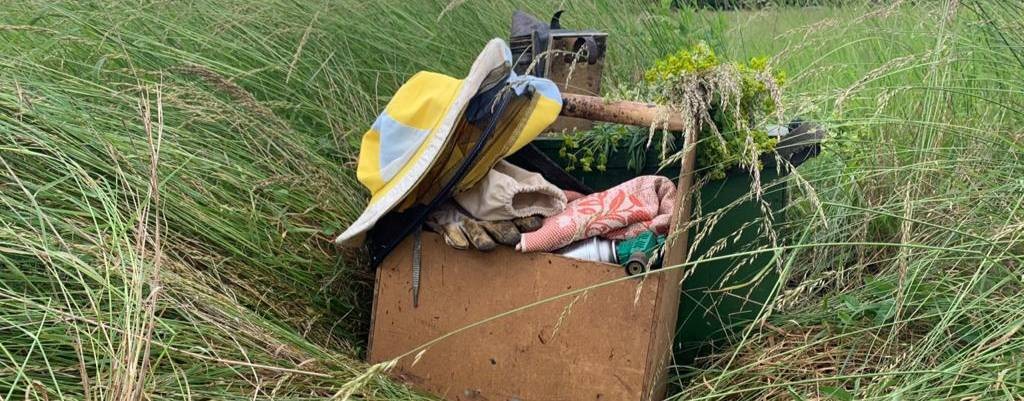 Пчëлкины заботы