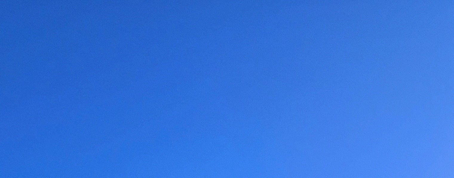 Кулебякина Дарья Васильевна