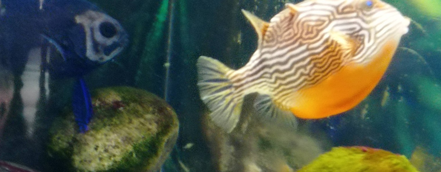 Может быть интересно!?