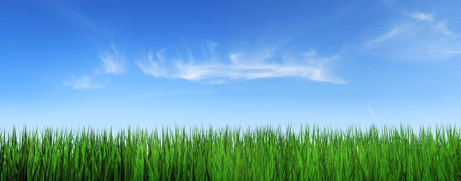 Вася Раевский