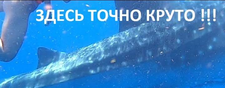 ЗАМЕТКИ ПУТЕШЕСТВЕННИКА И ПОЛЕЗНЫЕ СОВЕТЫ