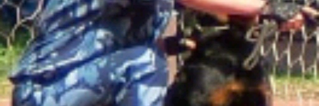 Андрей kinolog !