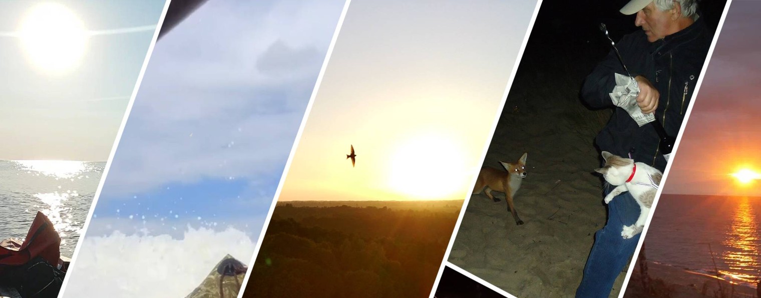 Альтернатива