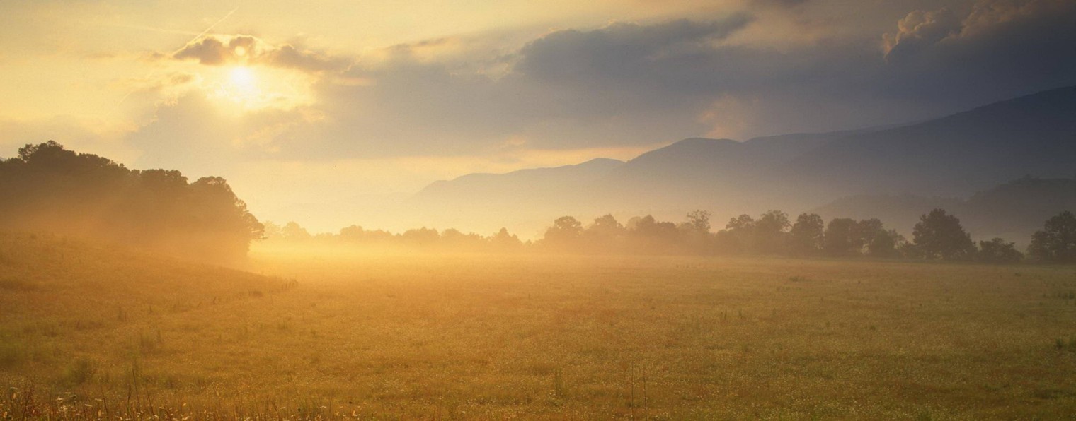 ФЕДЕРАЛЬНЫЙ СЕЛЬСОВЕТ