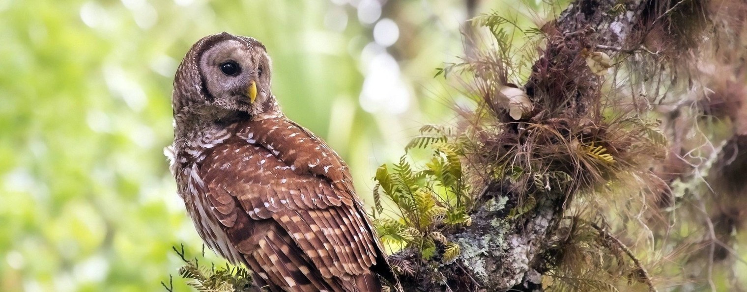 Клуб Мудрая Сова