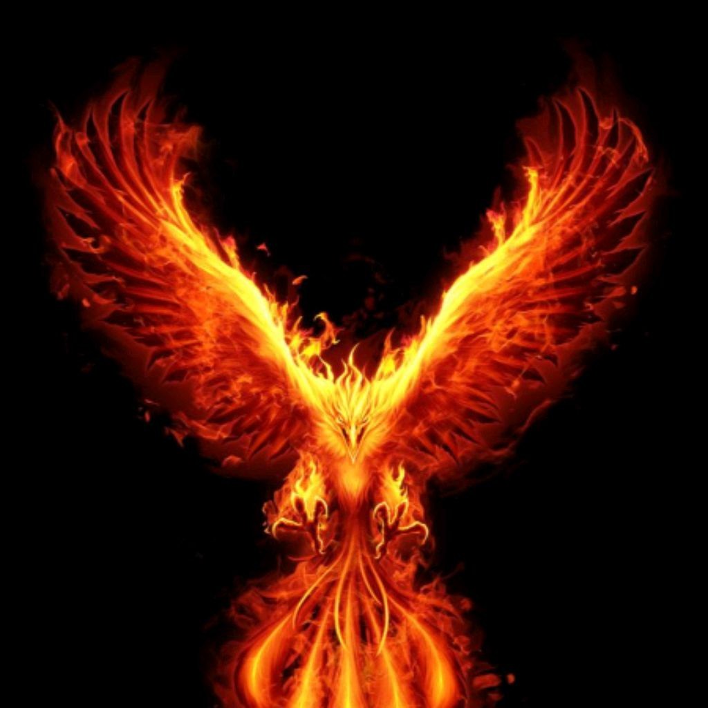 Страйкбольный клуб ,,Феникс,, город щучье