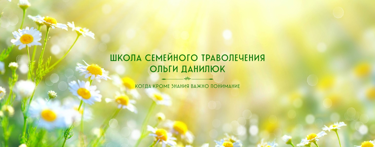 Школа Ольги Данилюк