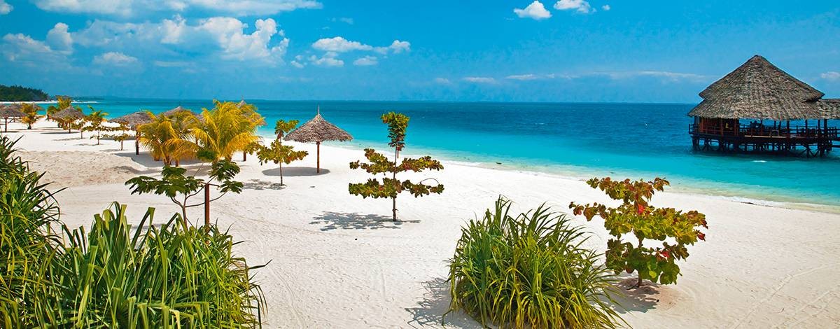 Вокруг света