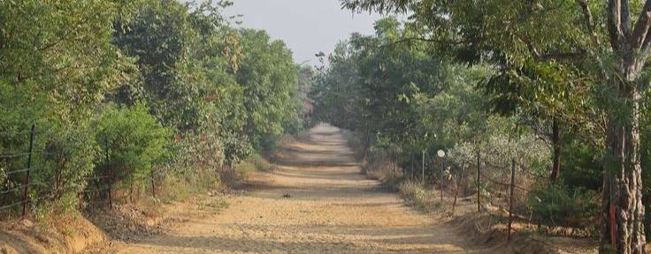 Калинди Прия деви даси