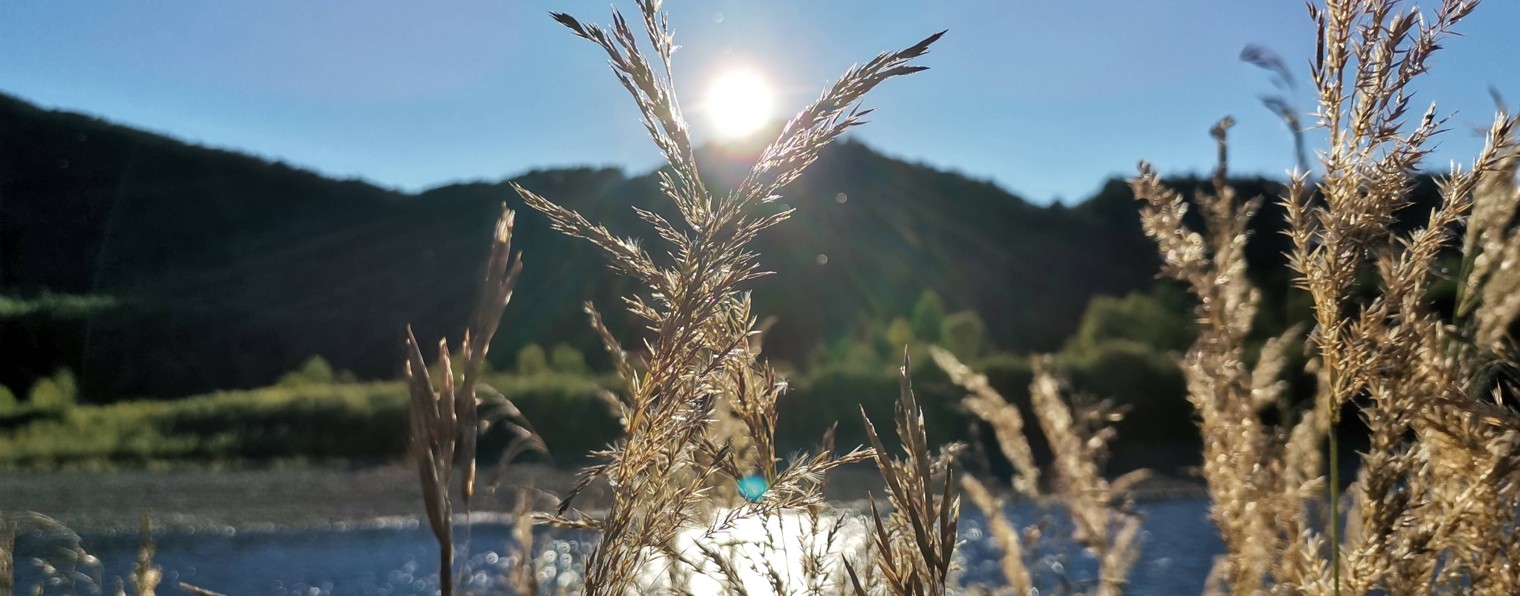 Людмила Шершнева