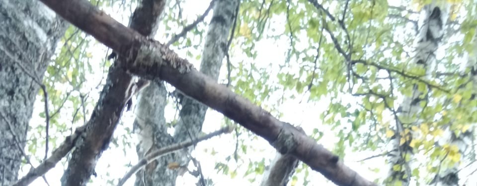 Пивные посиделки