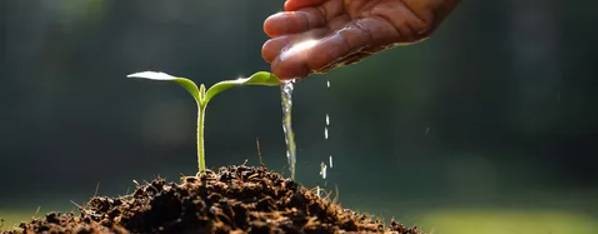 Садакъа Джария