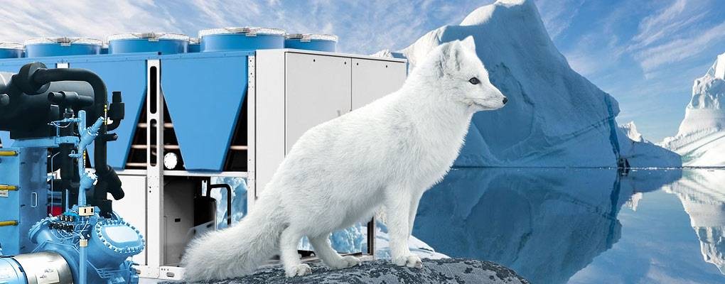 Промышленное холод оборудование "АСМ"