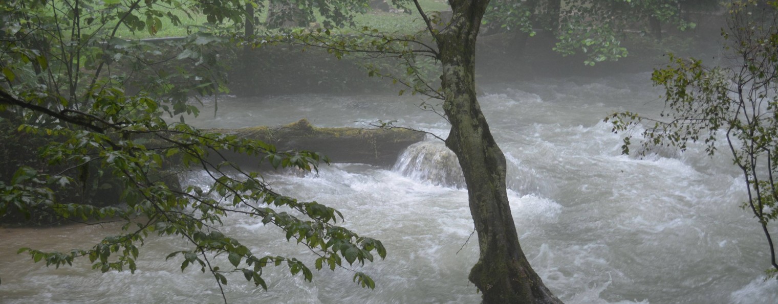 rutube_account_1035073