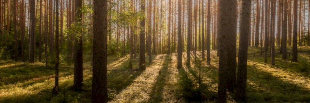 Семья Эрисман