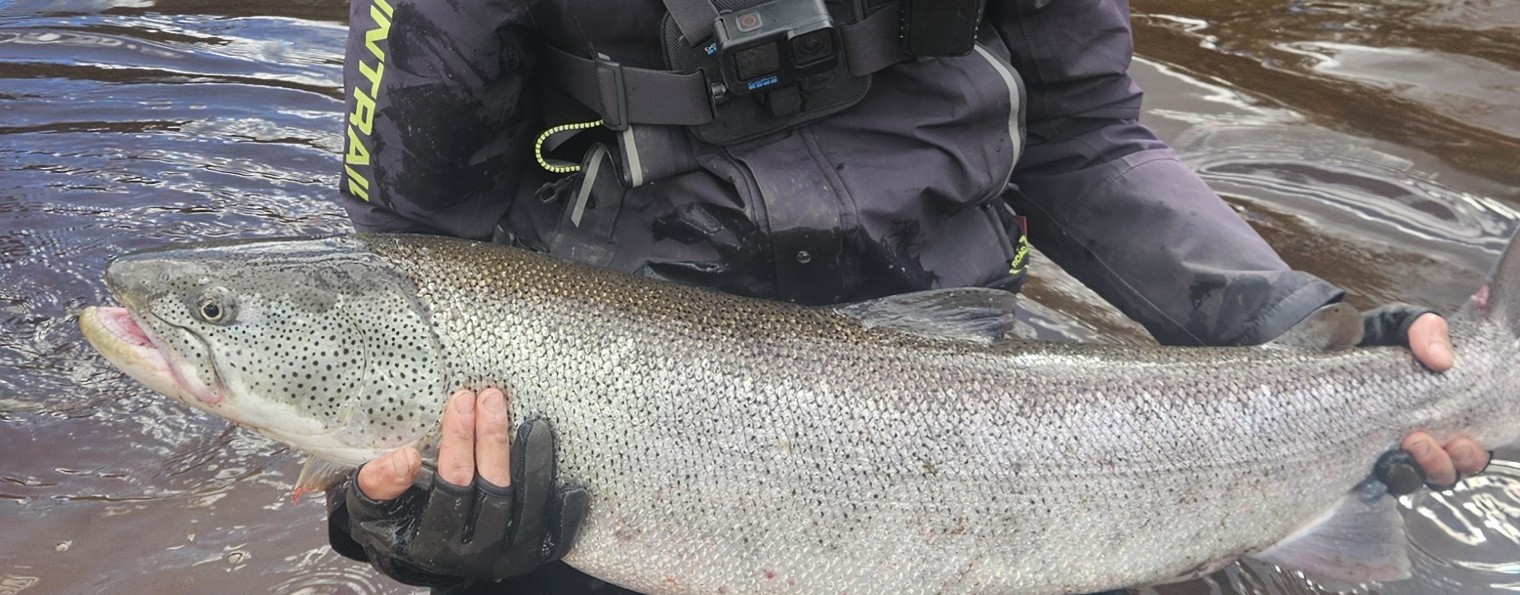 Рыбалка с гидом