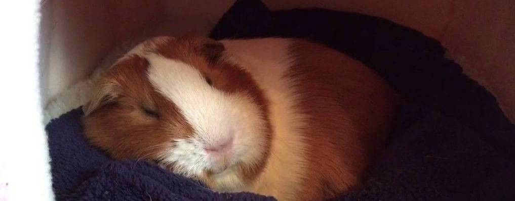 💝